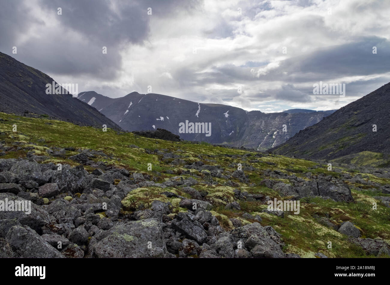 Mountain tundra with mosses and rocks covered with lichens, Hibiny ...
