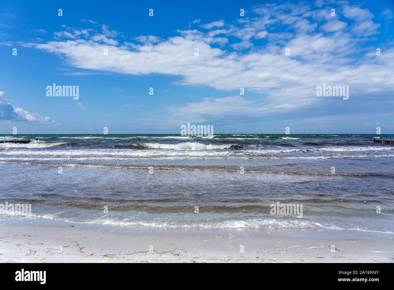 baltic sea beach in summer without people Stock Photo - Alamy