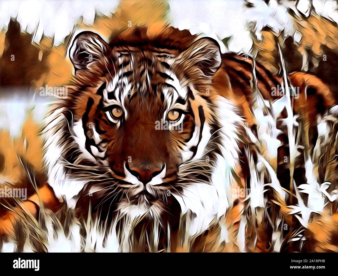 tiger art illustration color drawing painting Stock Photo - Alamy