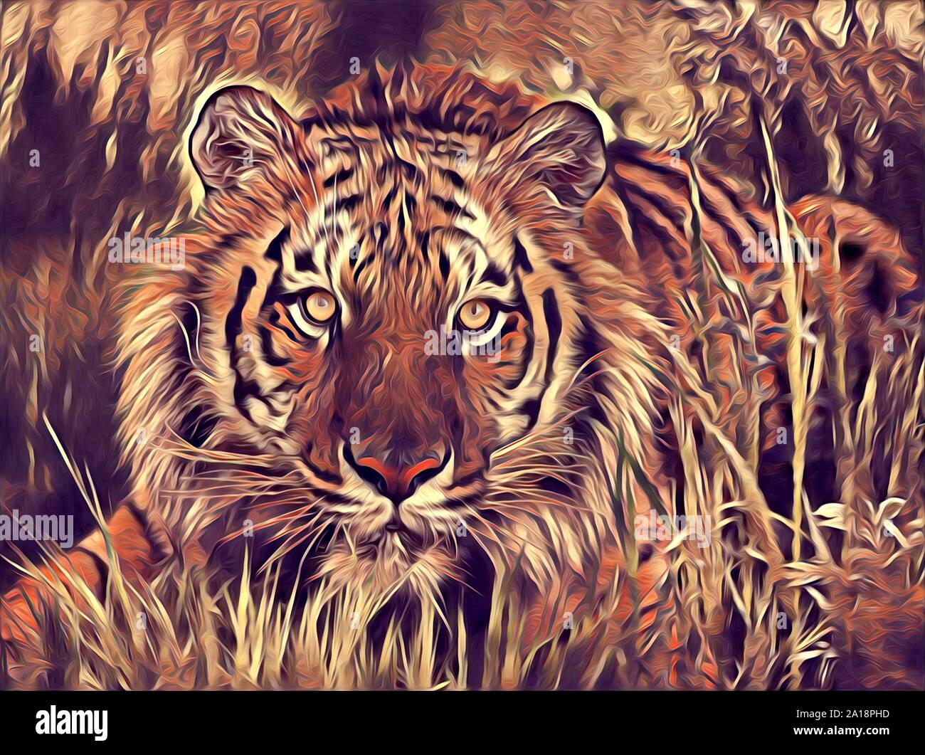 tiger art illustration color drawing painting Stock Photo - Alamy