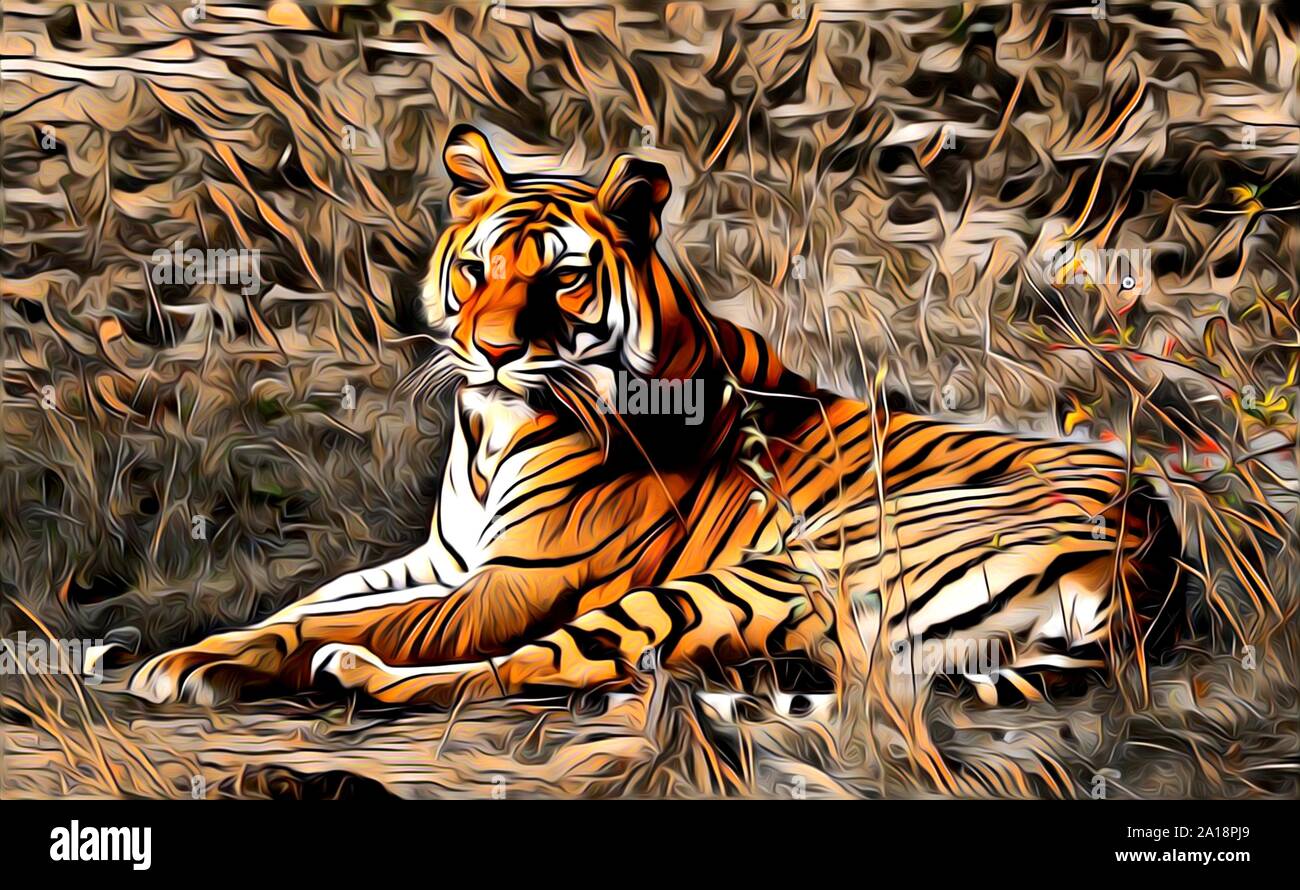 tiger art illustration color drawing painting Stock Photo - Alamy