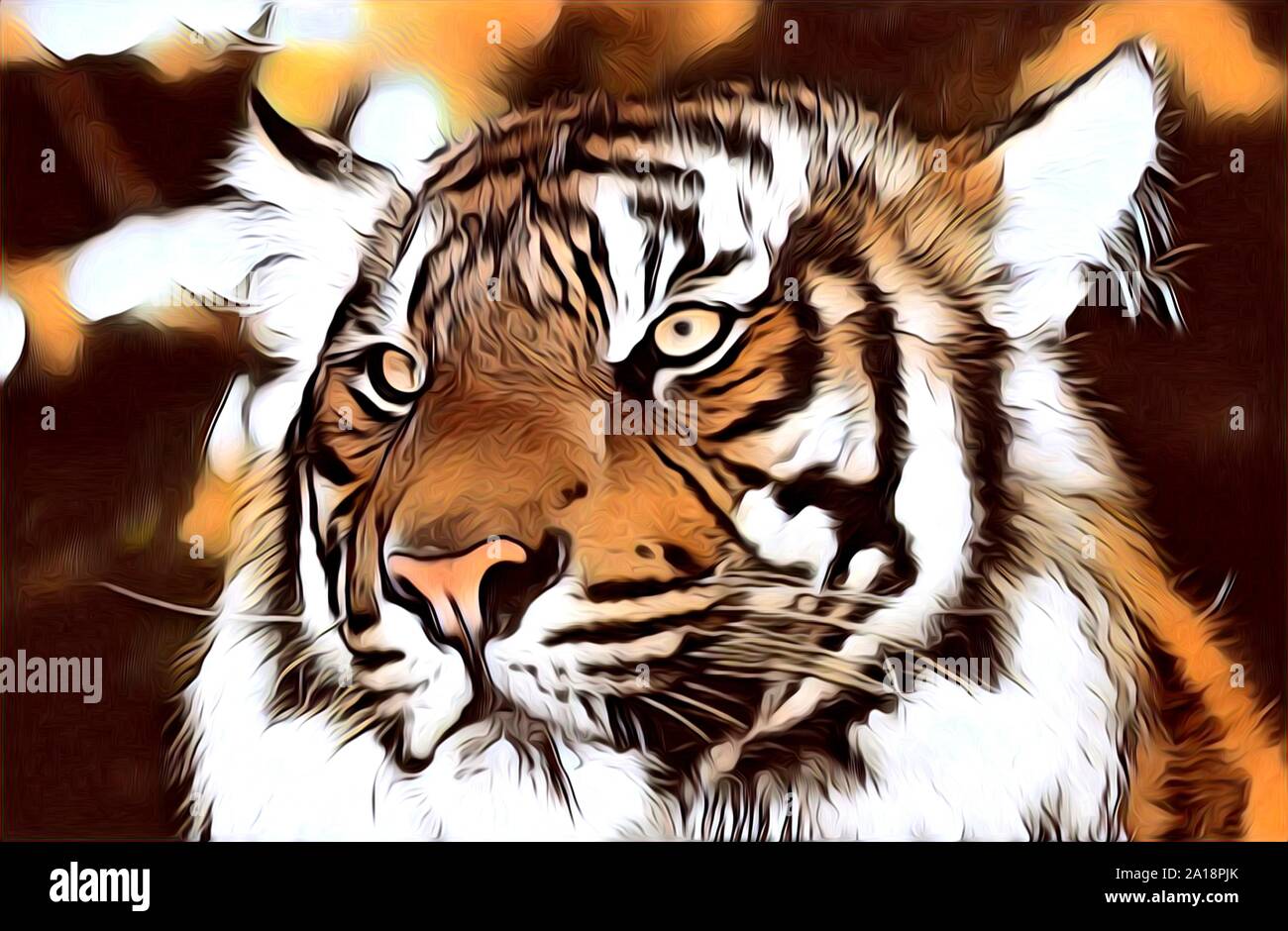 Tiger Face Drawings With Color
