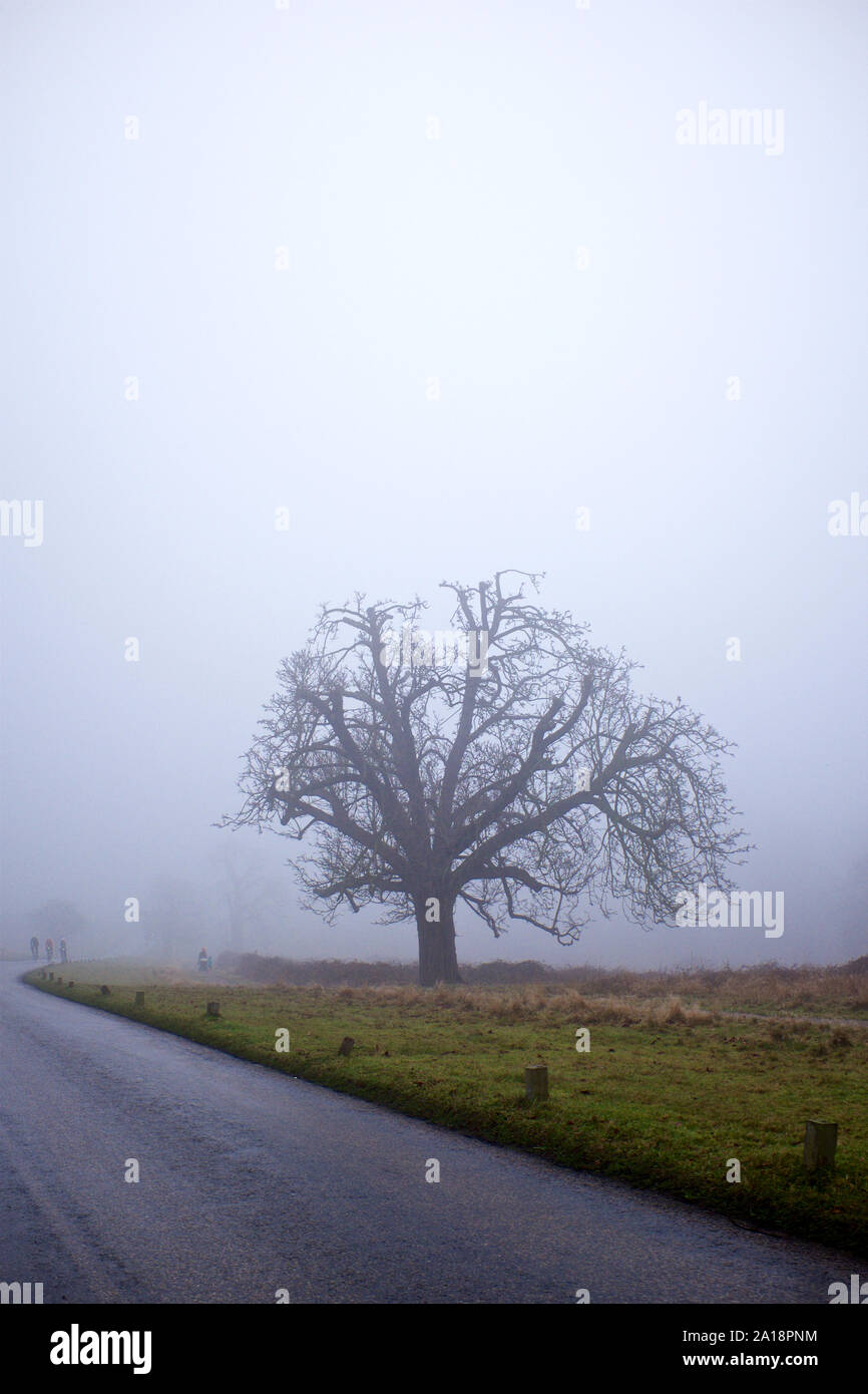 Fog rainy season hi-res stock photography and images - Alamy