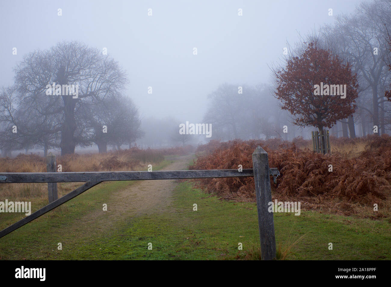 Richmond foggy hi-res stock photography and images - Alamy