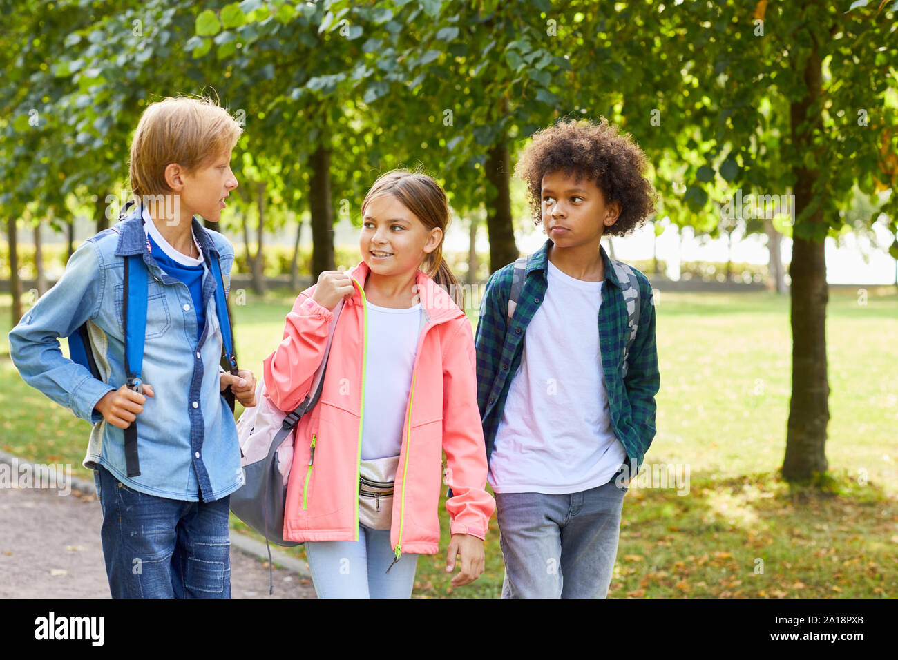 Group of friends talking to each other while walking along the park ...