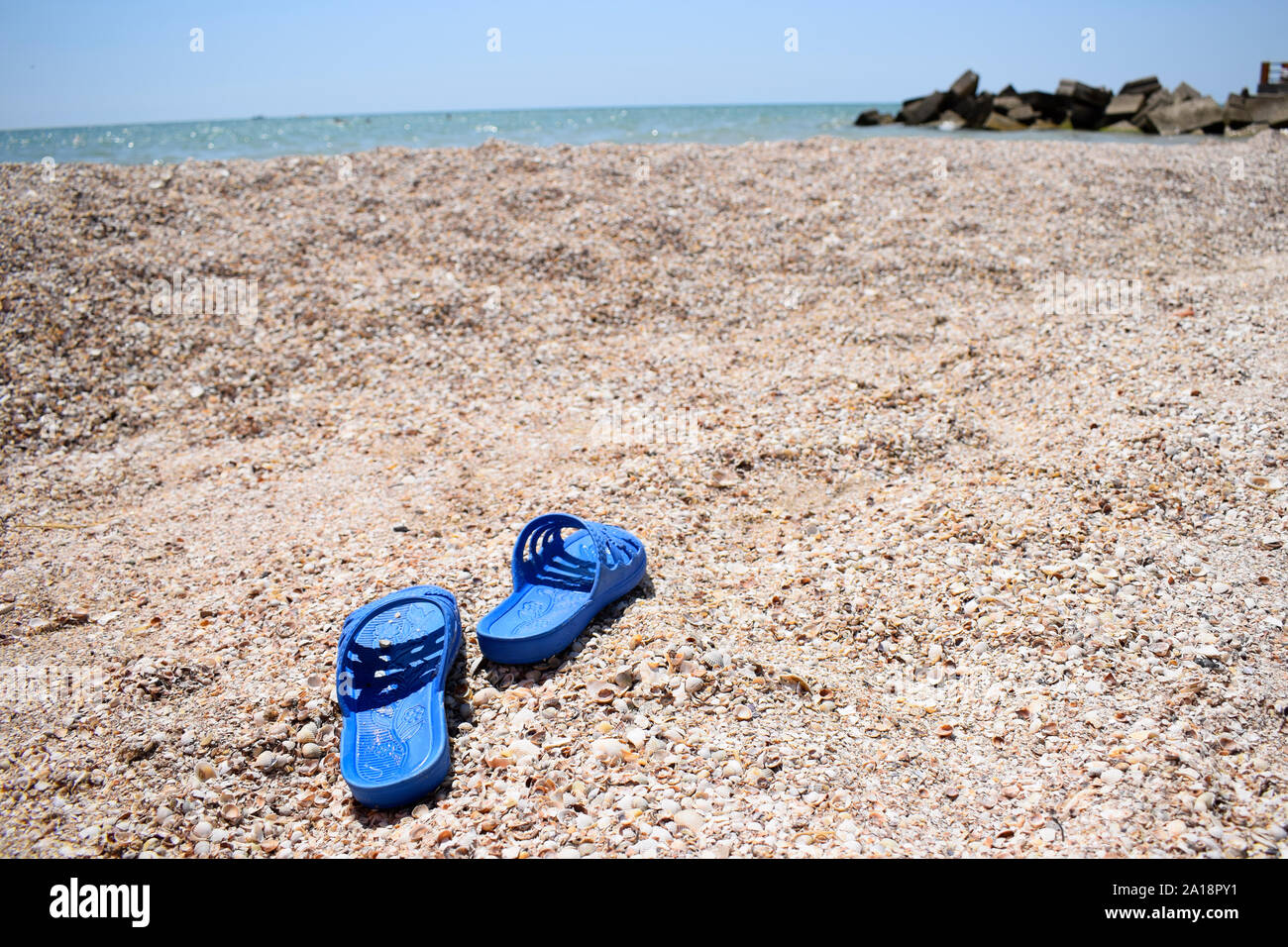 Summer slippers on the beach near the water. Sea shells on a sunny day ...