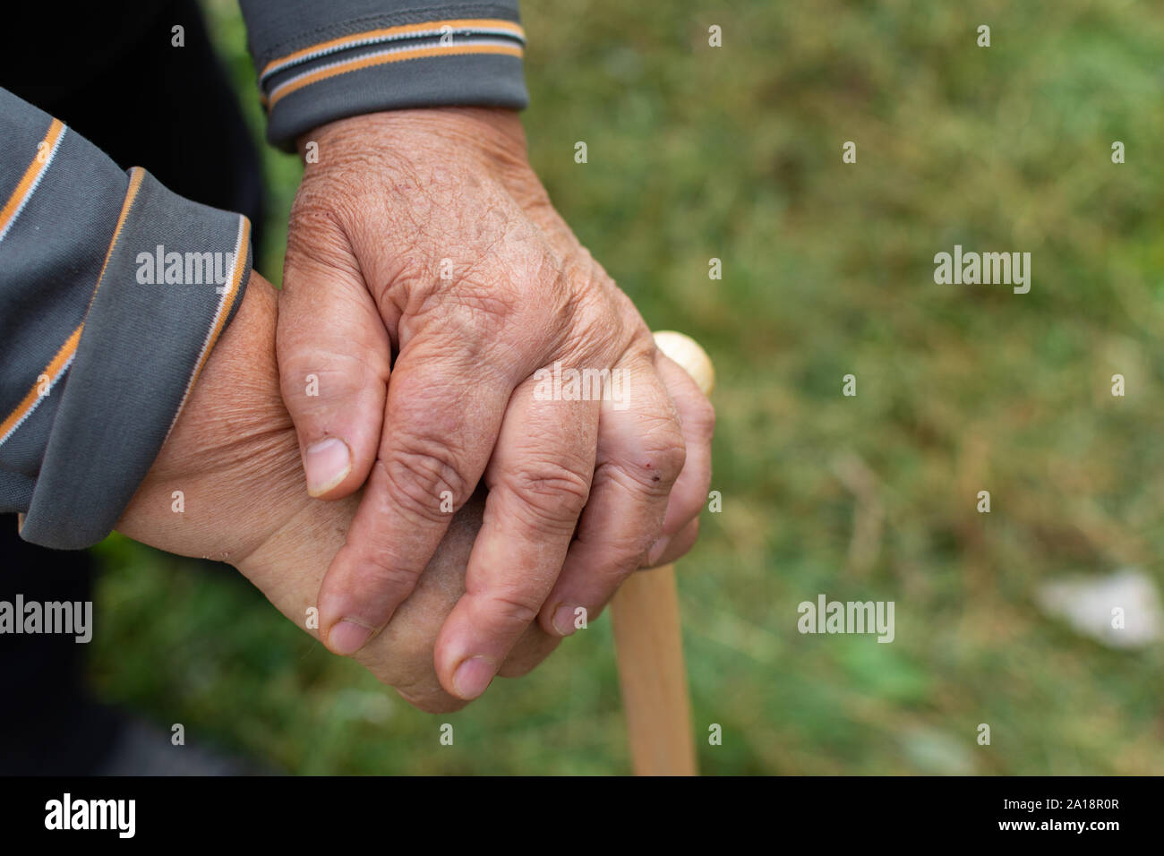Senior Walking Stick High Resolution Stock Photography and Images - Alamy