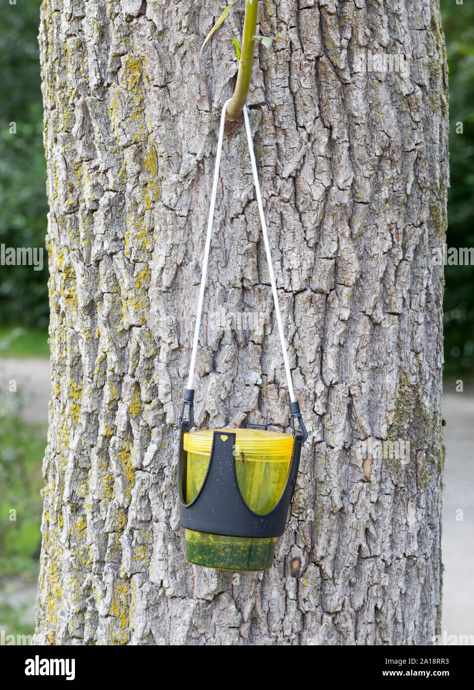 Garden pest solution hi-res stock photography and images - Alamy