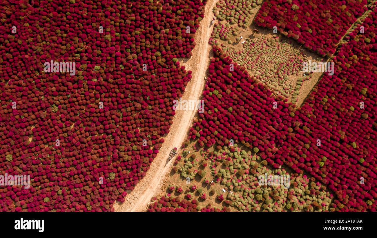 Liulin county hi-res stock photography and images - Alamy