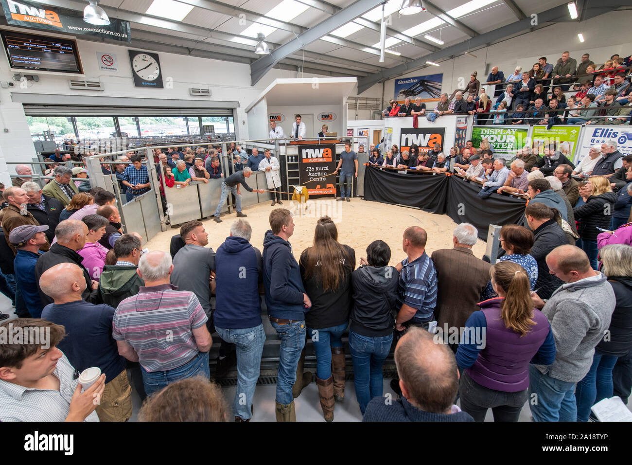 Kendal cumbria market hi-res stock photography and images - Alamy
