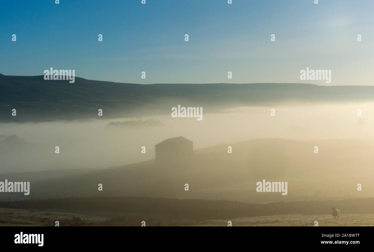 Misty morning in spring, Hawes, Wensleydale, UK Stock Photo - Alamy