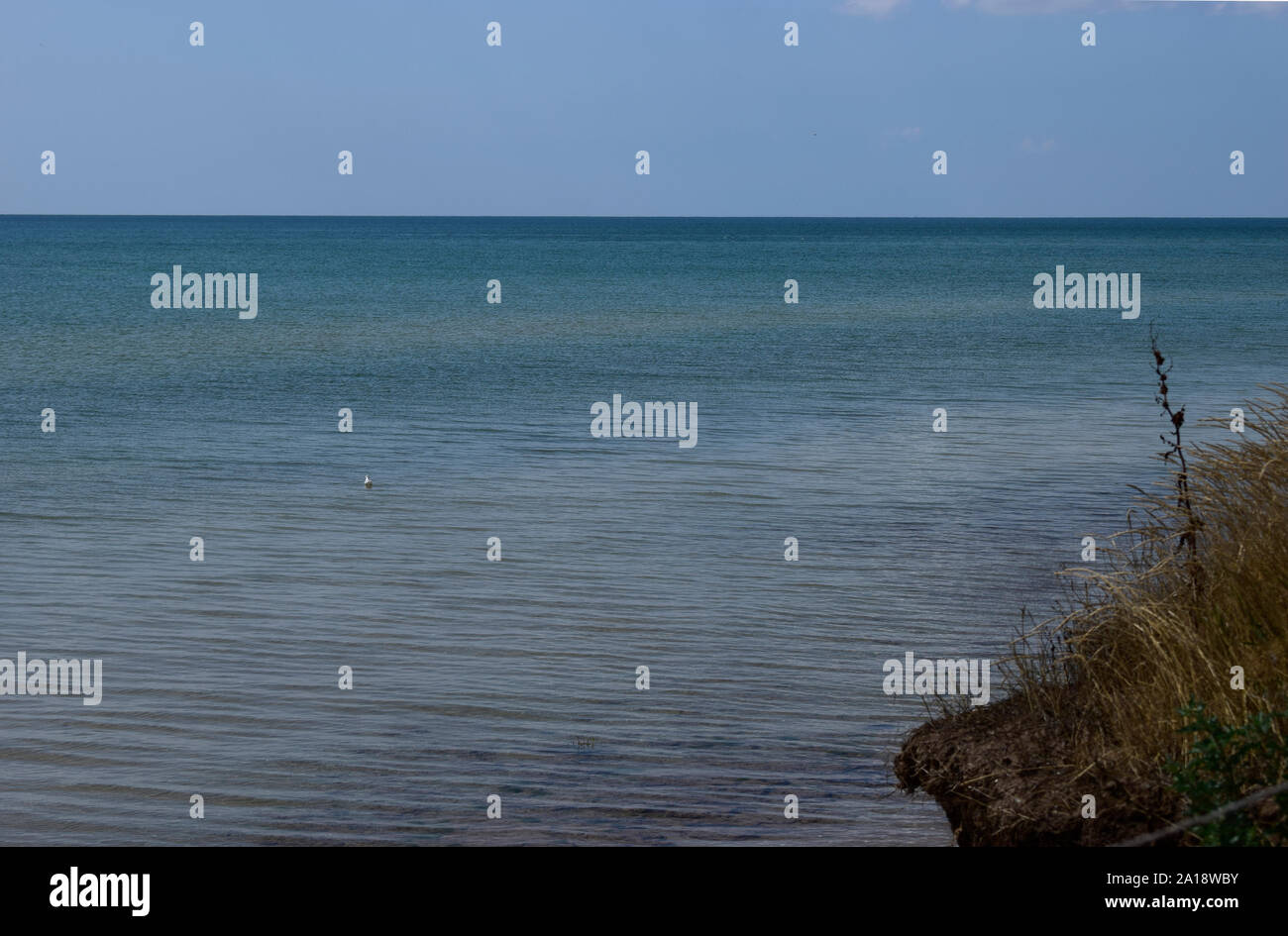 Steep cliff, seashore landscape. Cliff of clay and sea beach. Beautiful ...