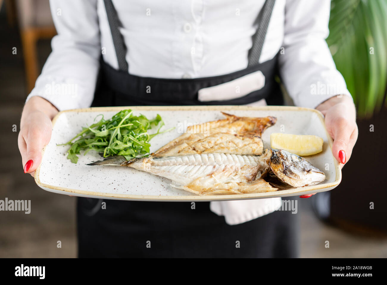 The waiter is holding a plate Dorado with arugula and lemon. BBQ ...