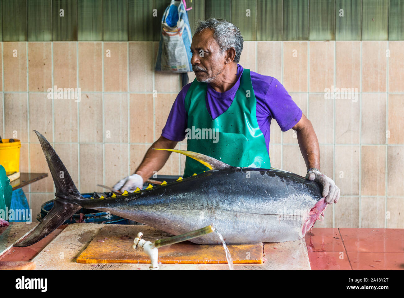 Male, Maldives - November 16, 2017: Man prepares fresh fish (big tuna ...