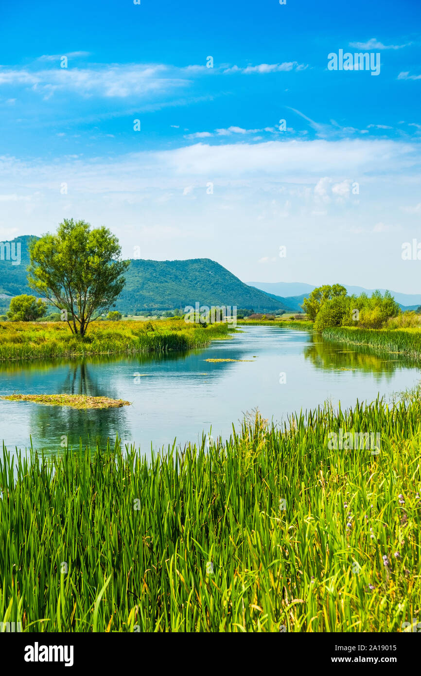 Beautiful nature landscape, Gacka river among grass banks, Lika region ...