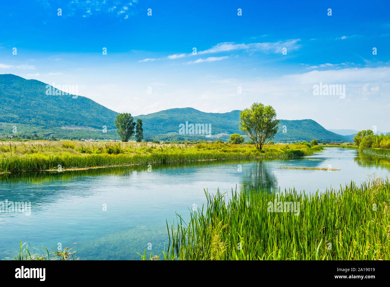 Beautiful nature landscape, Gacka river among grass banks, Lika region ...