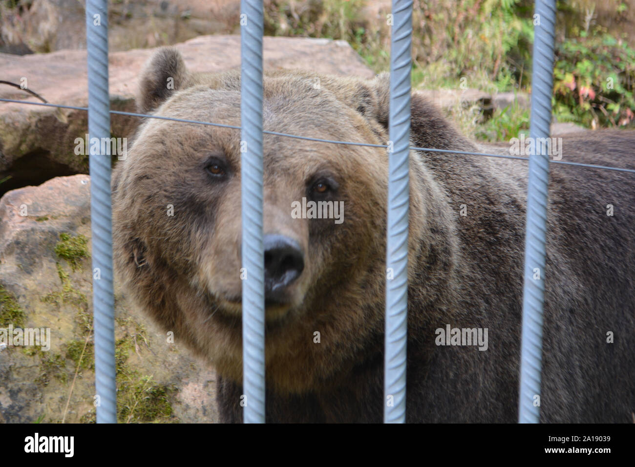 Walking out of prison hi-res stock photography and images - Alamy