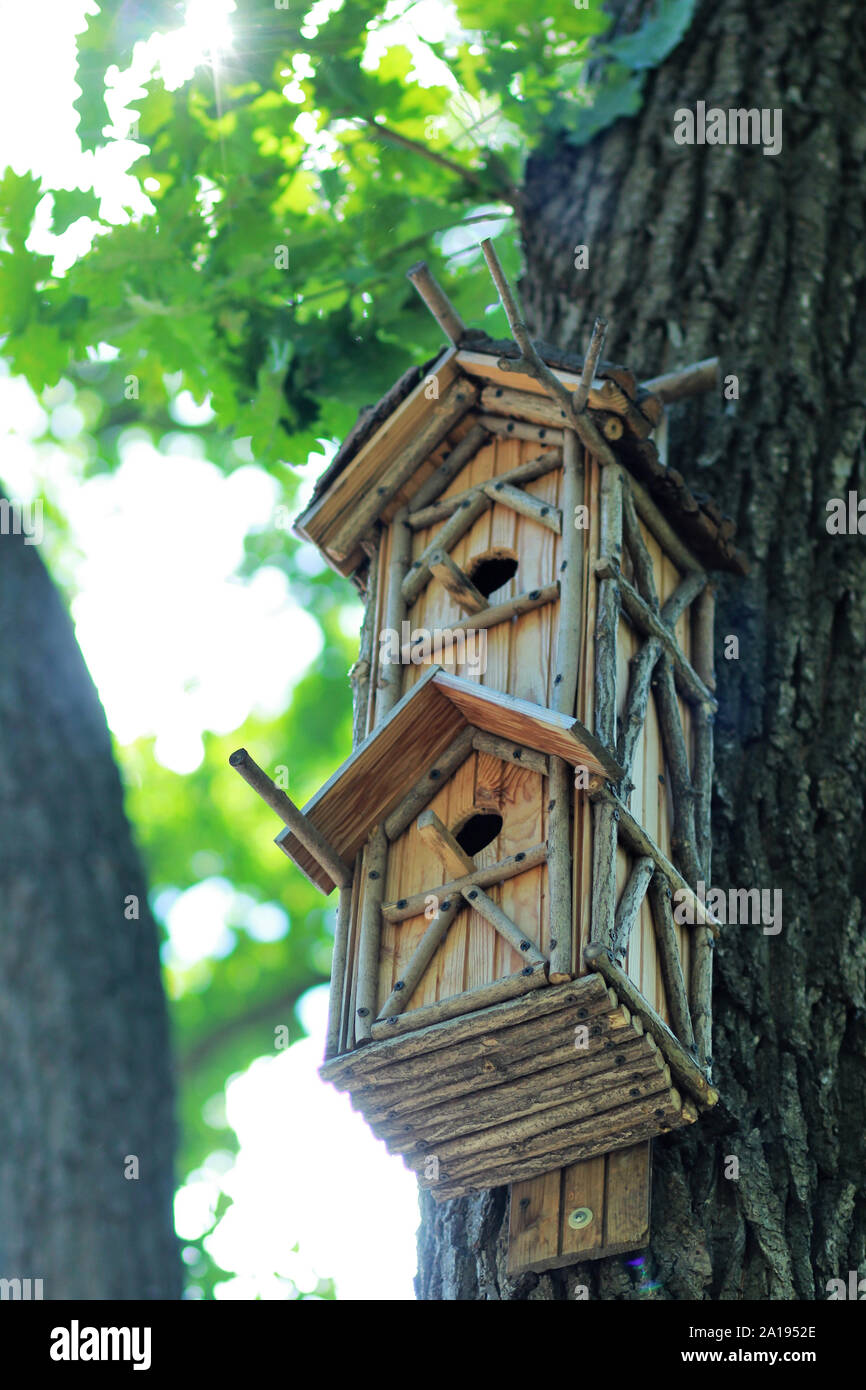 DIY, creative hand made wooden bird house hanging on the tree in a park ...
