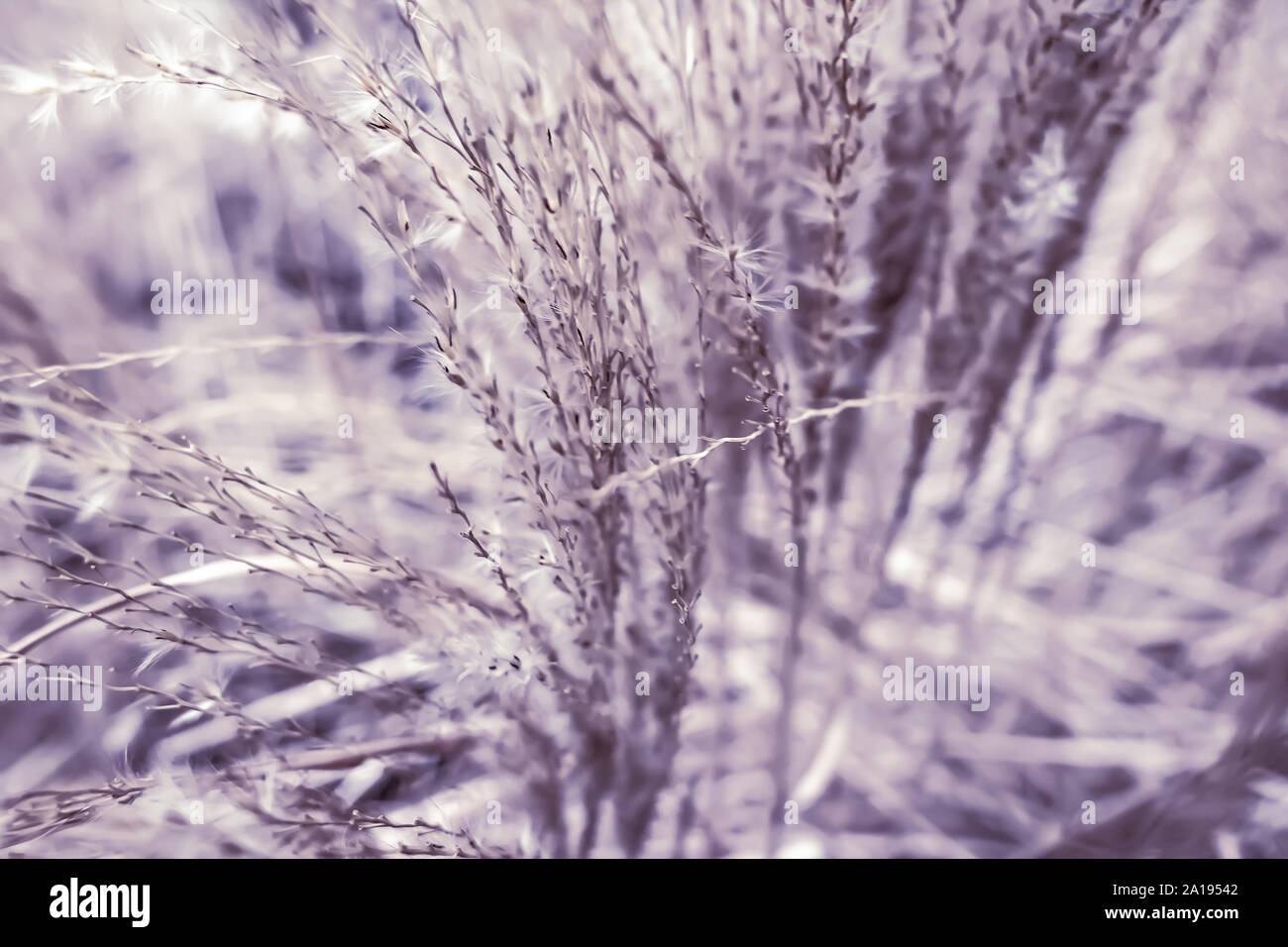 Rural landscape, pastel backdrop and environmental design concept ...