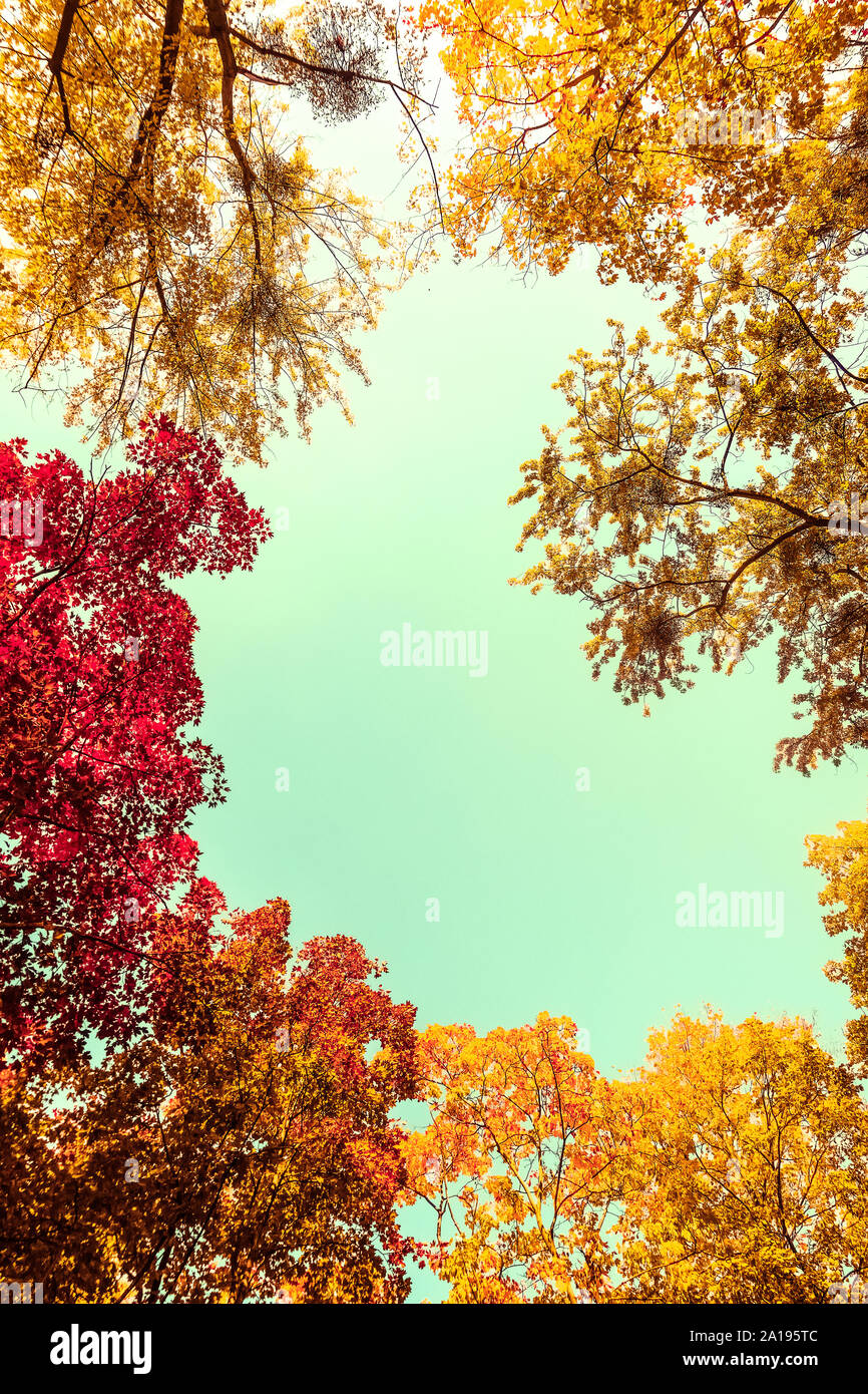 Seasonal travel, retro backdrop and rural environment concept ...