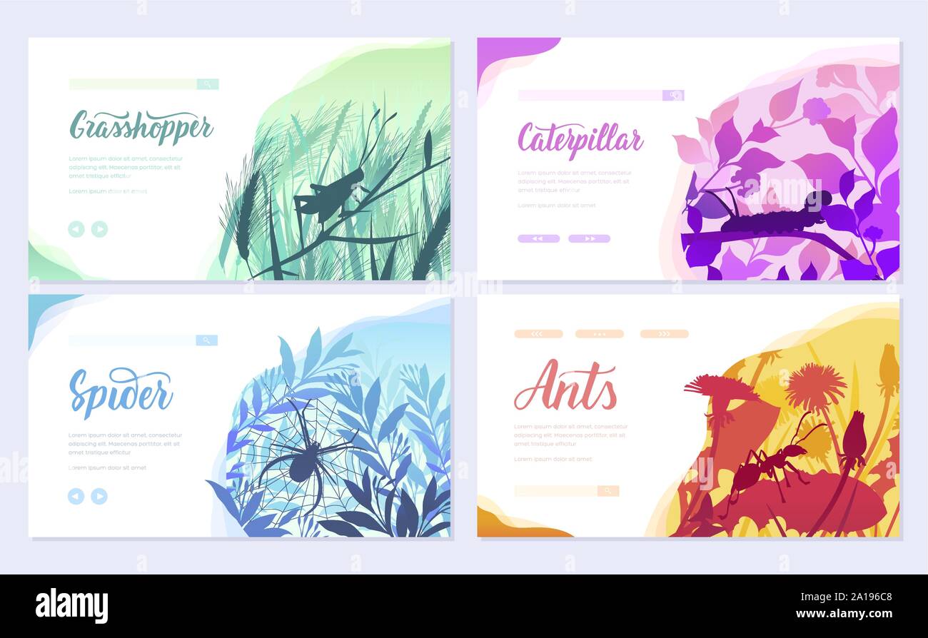 Brochures with insects in the microcosm. set of flyers with beetles in ...