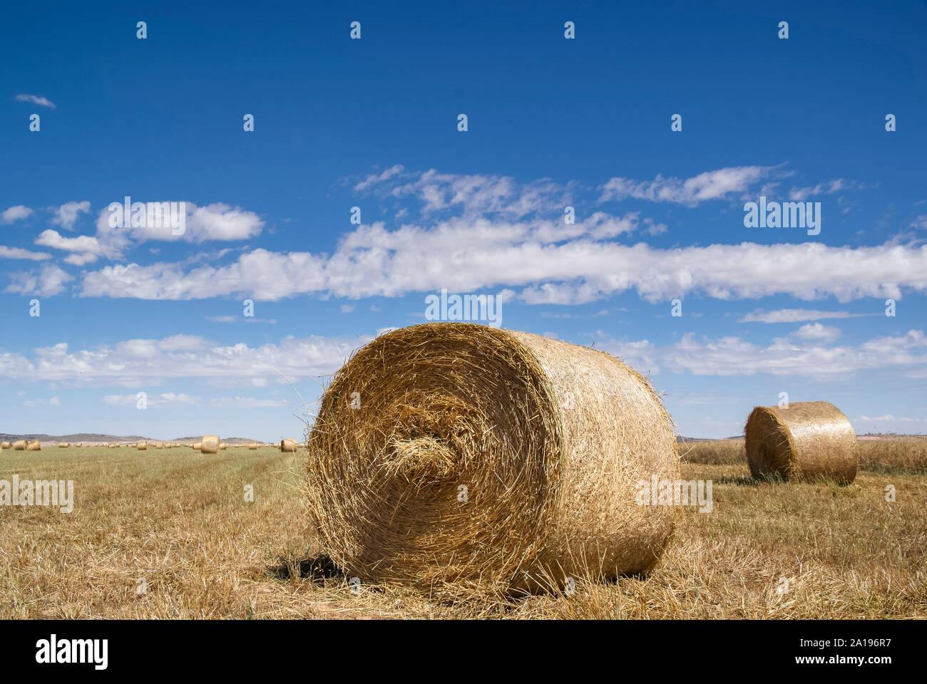 Real straw hi-res stock photography and images - Alamy