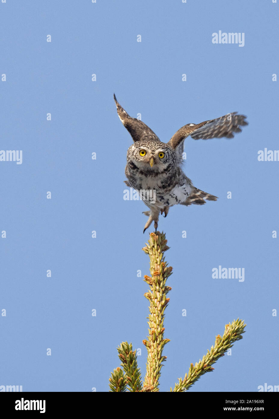 Oulu hi-res stock photography and images - Alamy