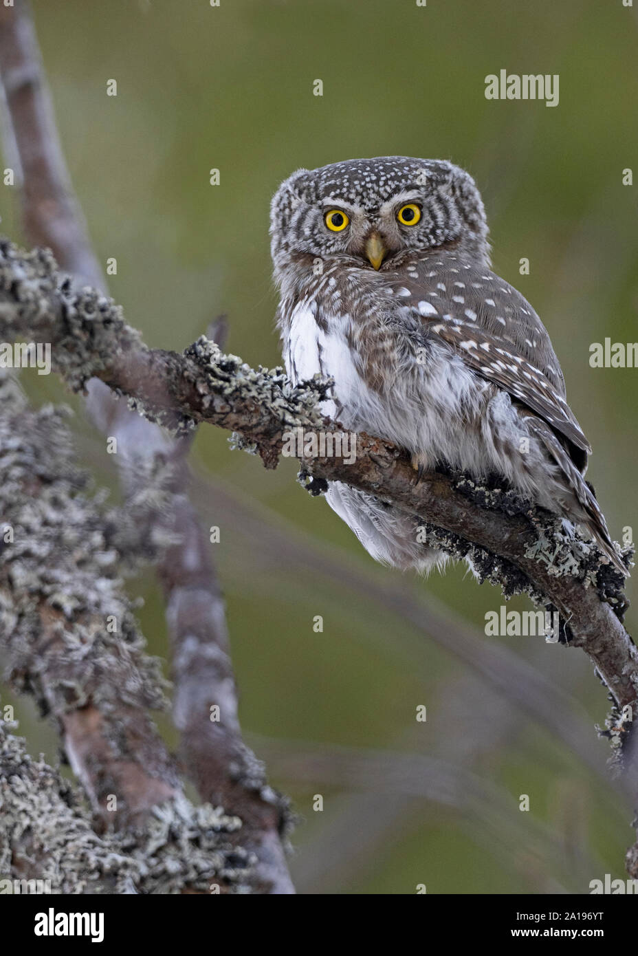 Oulu hi-res stock photography and images - Alamy