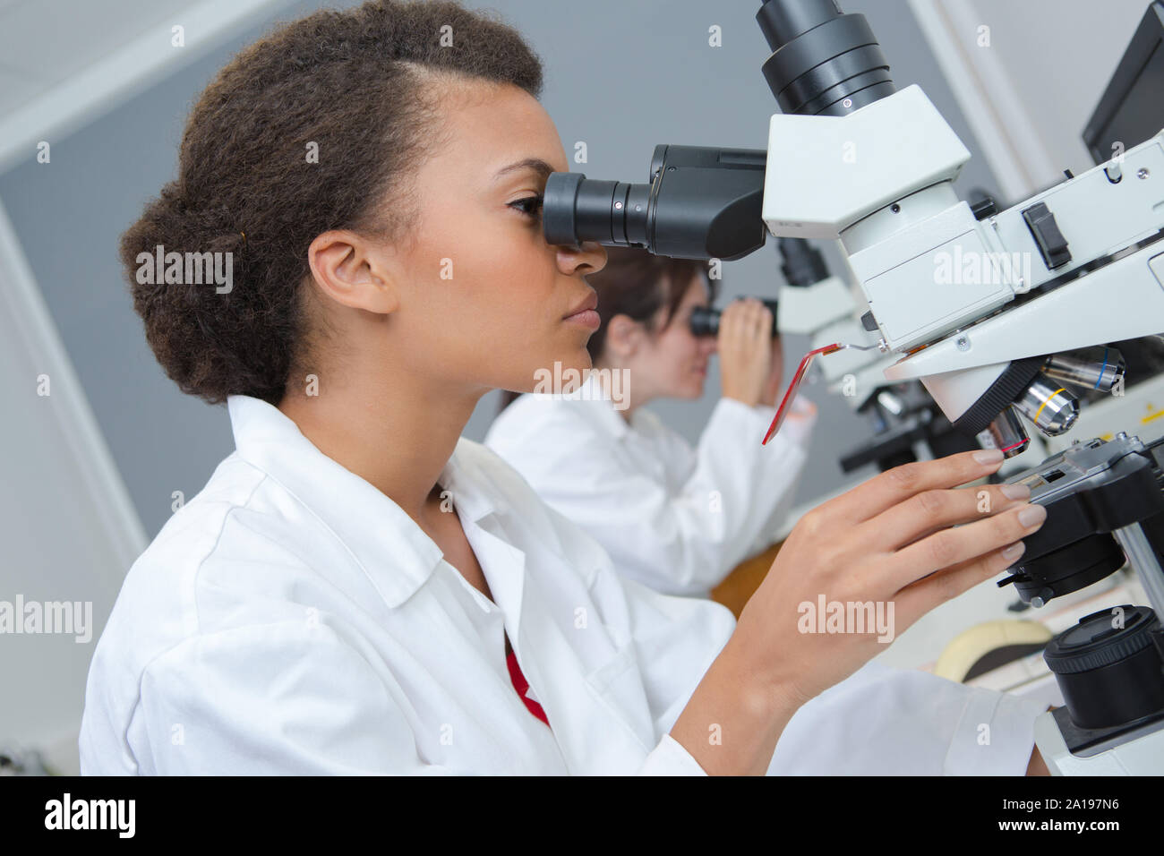Microscopes researcher hi-res stock photography and images - Alamy