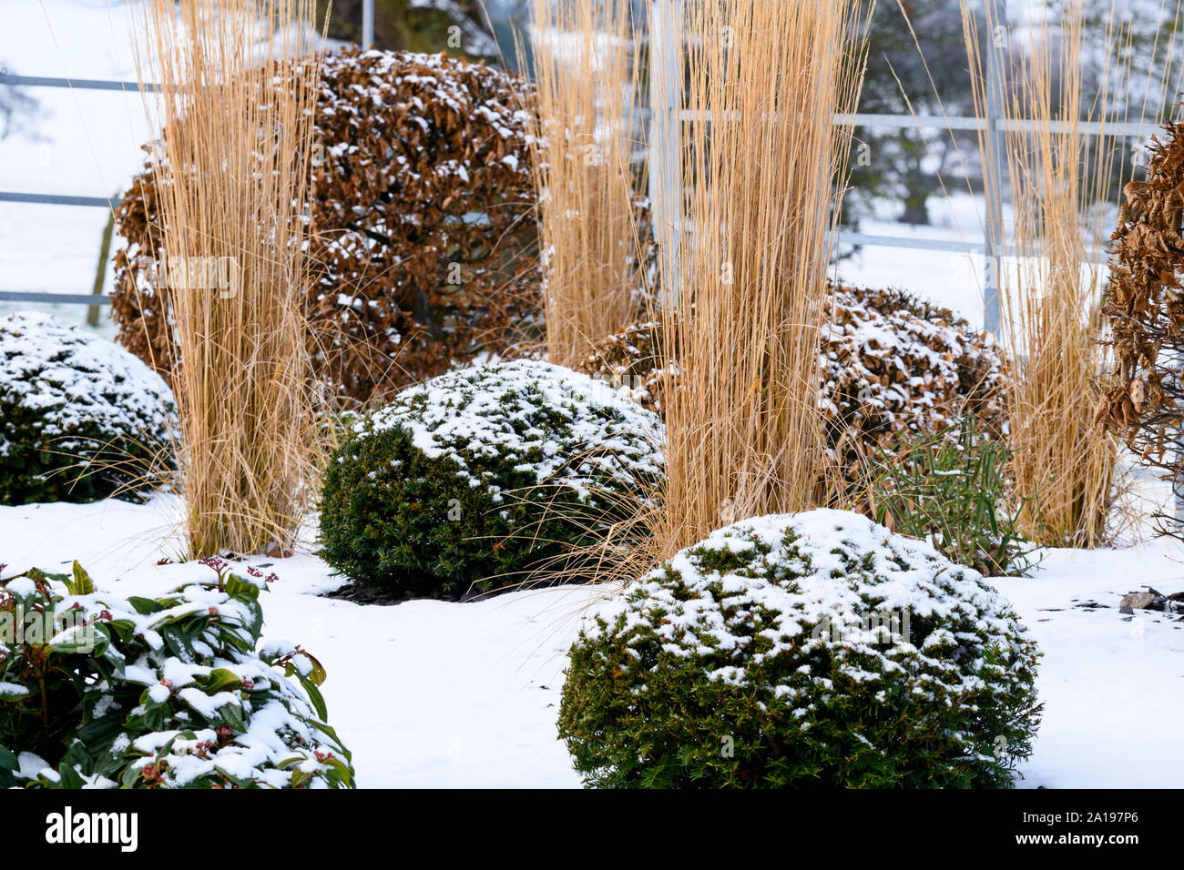 Topiary Balls Stock Photos & Topiary Balls Stock Images - Alamy