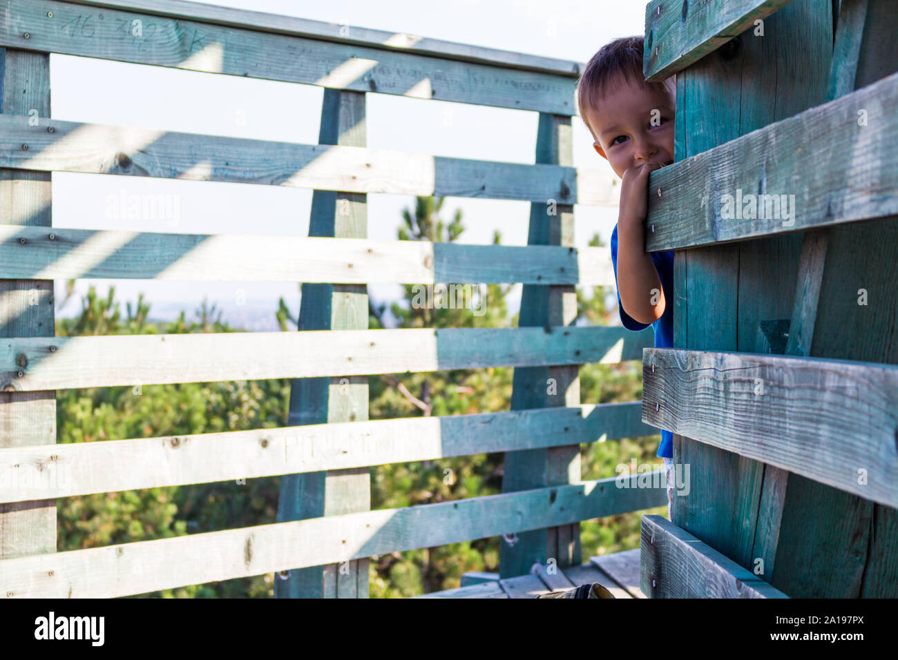 Boy child hides hiding behind wooden plank wall of lookout tower in ...