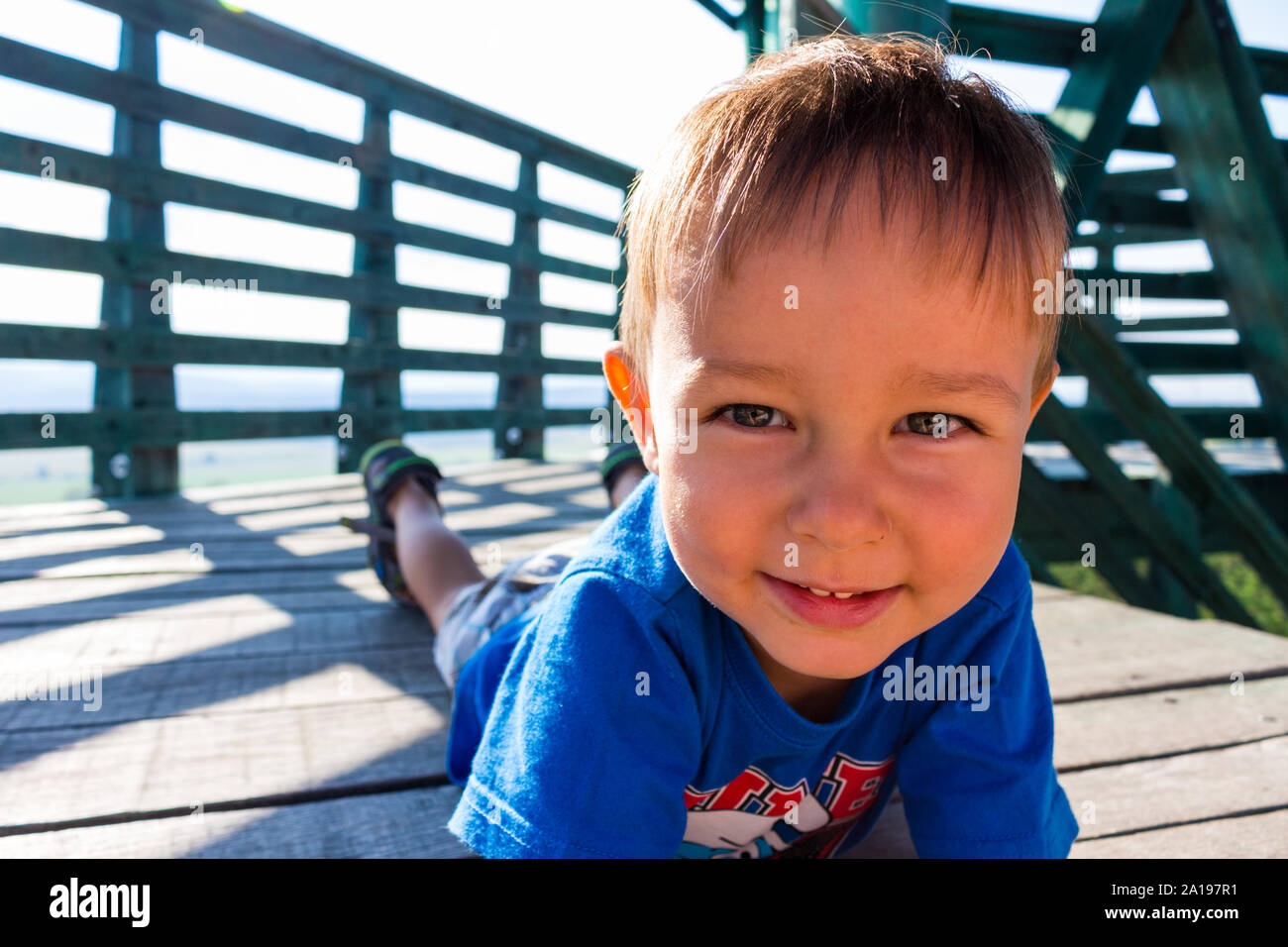 Boy child looking at into camera while lying on belly stomach on wood ...