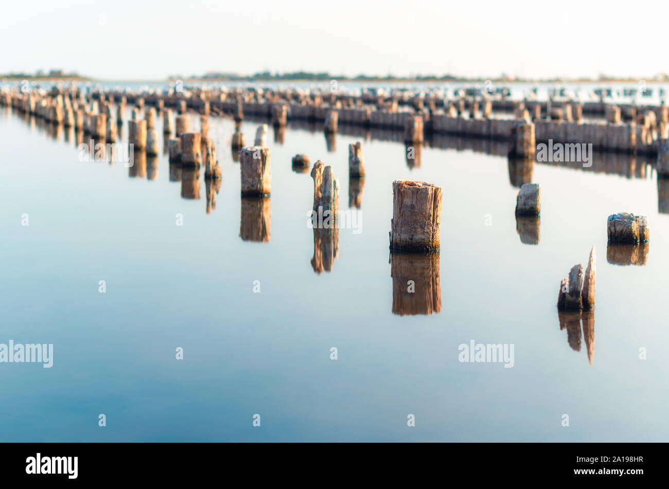 wooden columns in a calm surface of the water Stock Photo - Alamy
