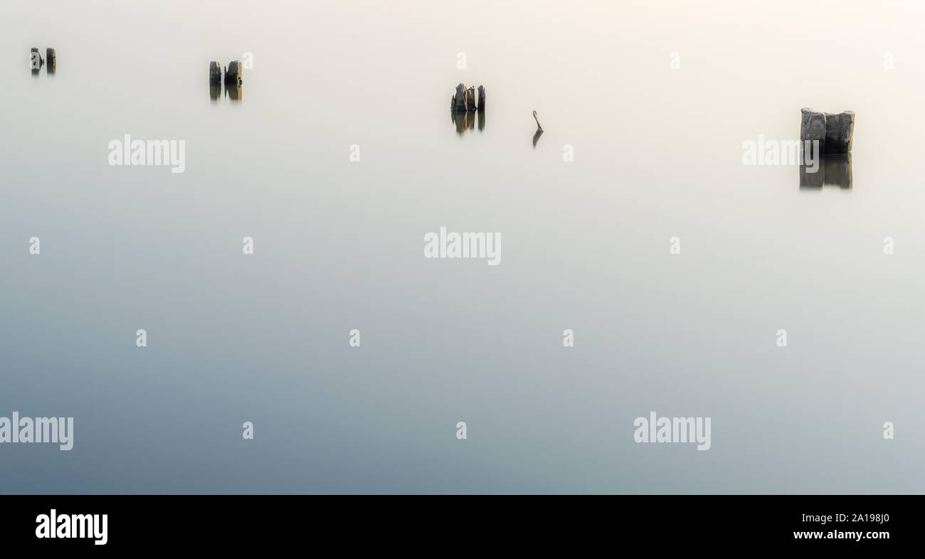wooden columns in a calm surface of the water Stock Photo - Alamy