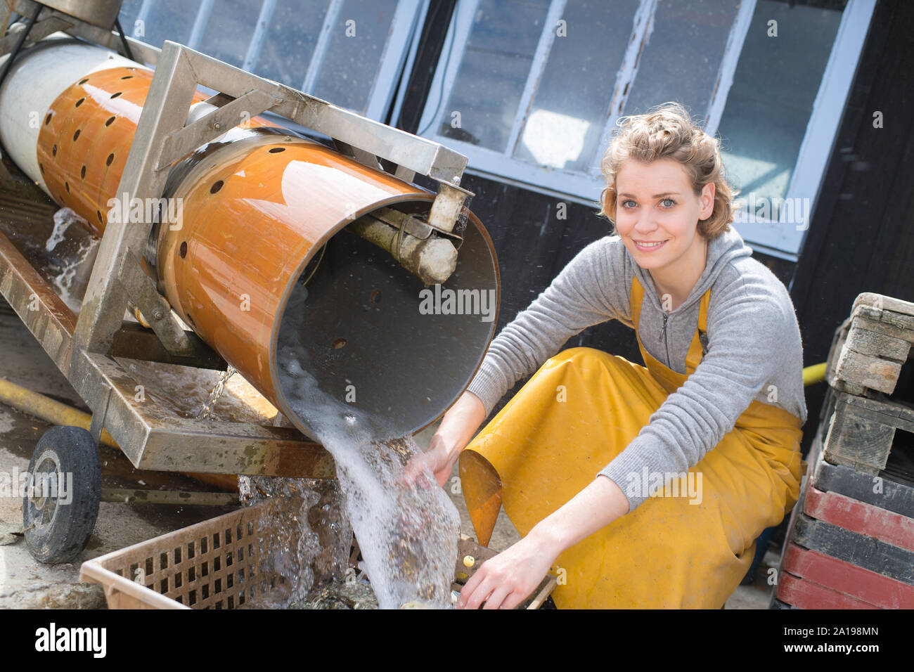 Shellfish classification hi-res stock photography and images - Alamy