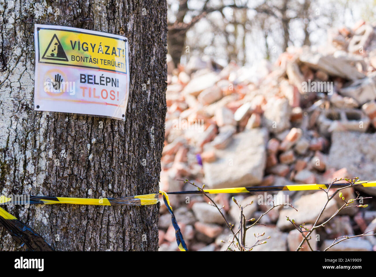 Warning sign nailed on tree in forest: Danger, demolition in progress ...