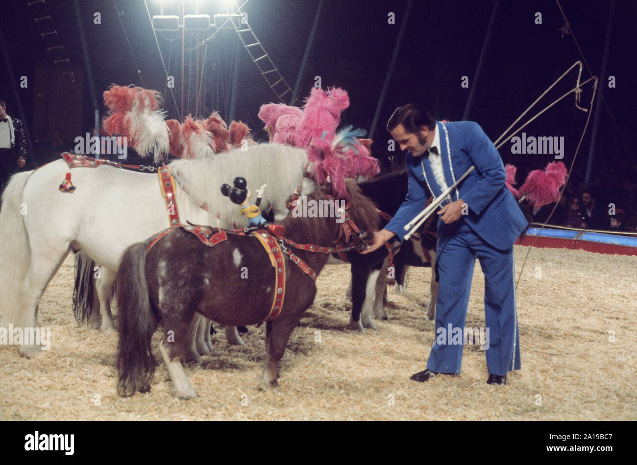Orfei circus hi-res stock photography and images - Alamy