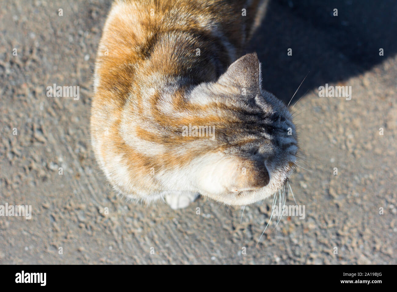 Marvelous top down view hi-res stock photography and images - Alamy