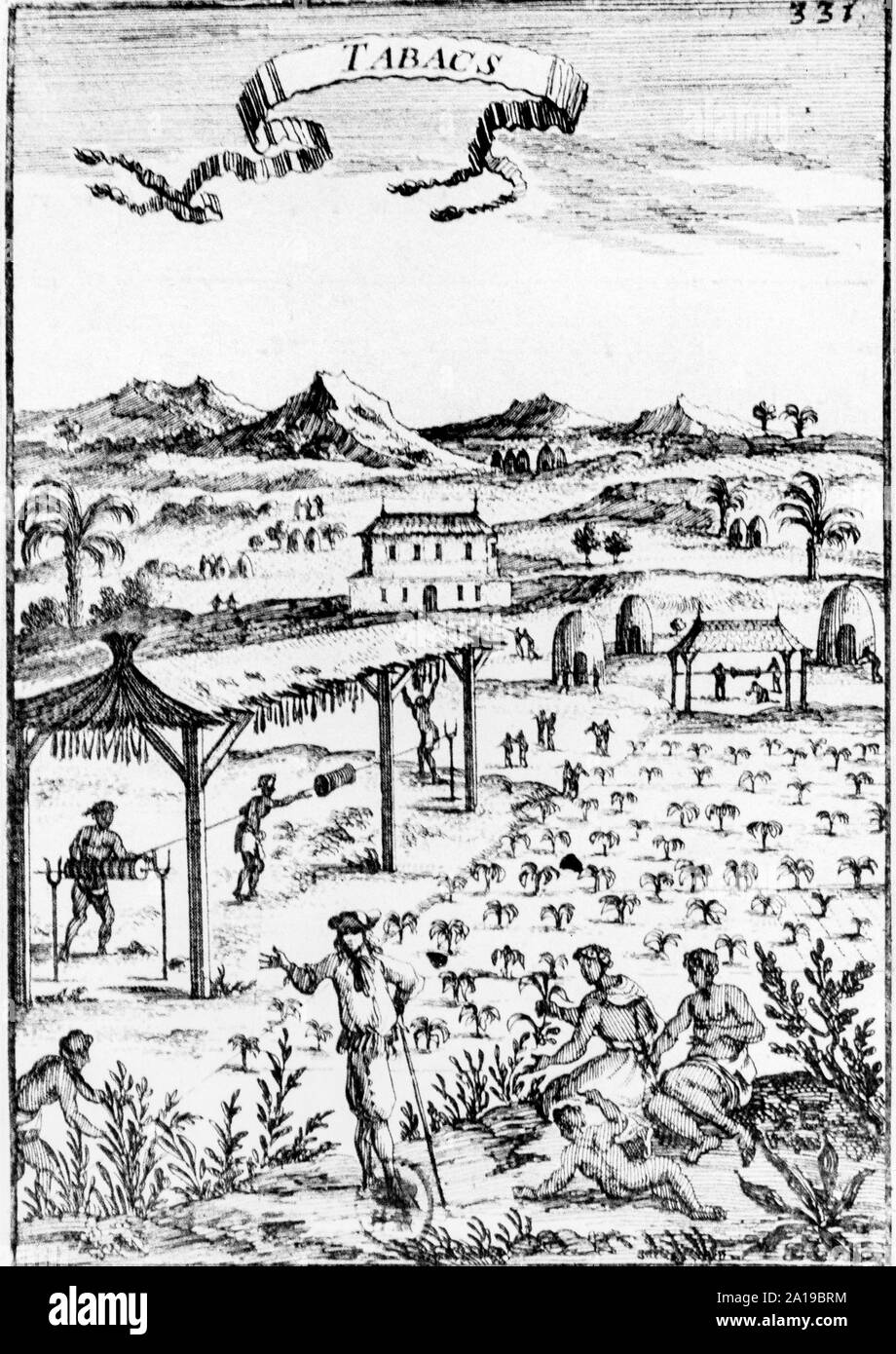 Tobacco harvesting Black and White Stock Photos & Images - Alamy