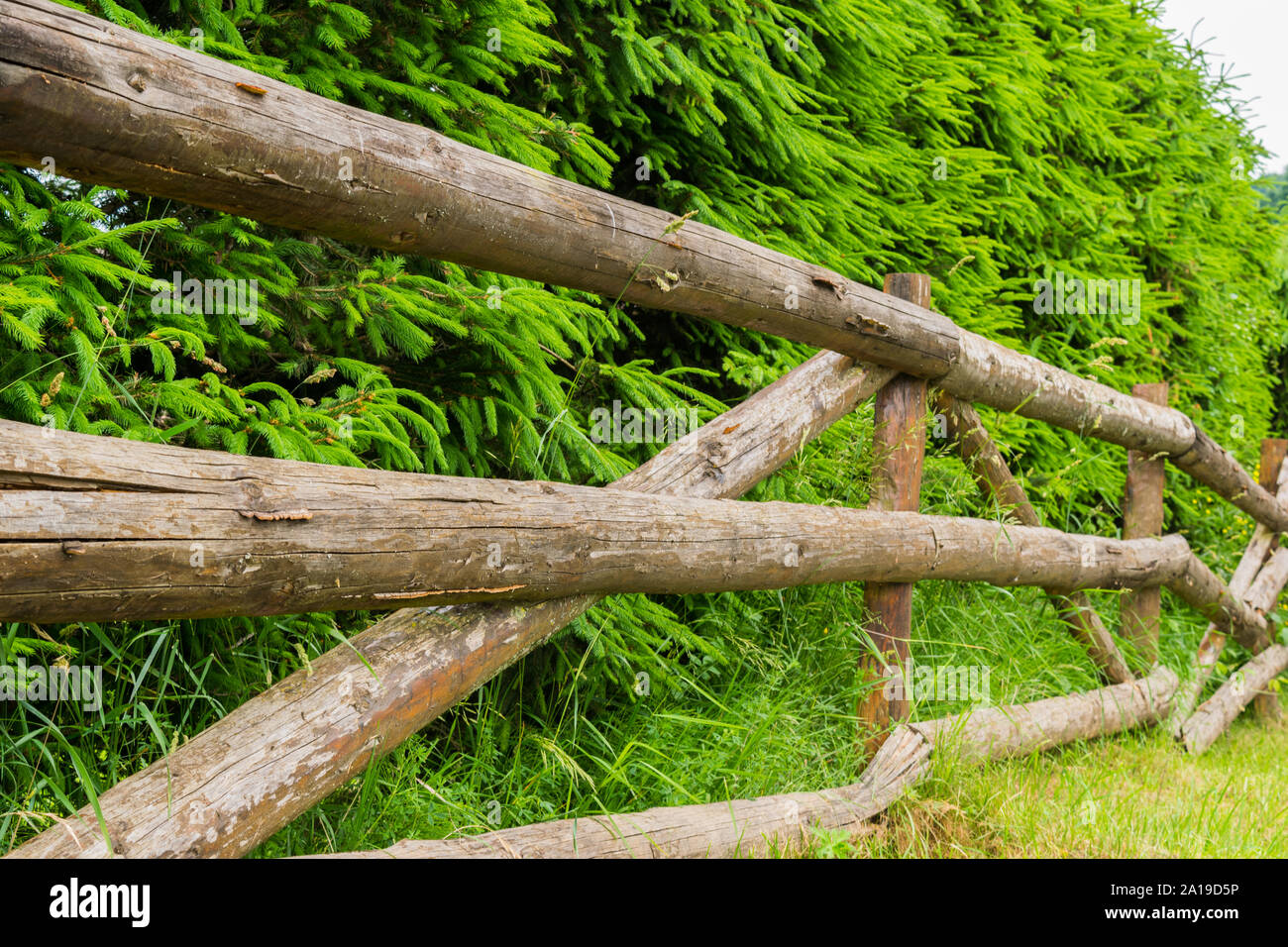Pine Log Fence