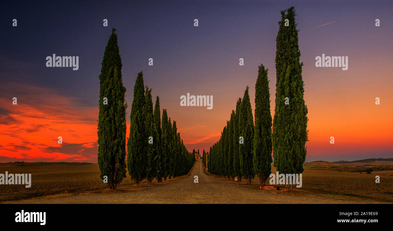 Cipressi in toscana hi-res stock photography and images - Alamy