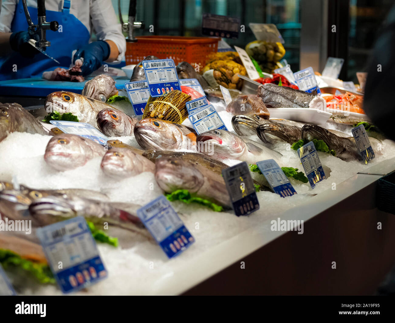 Fish stall in central market Stock Photo - Alamy