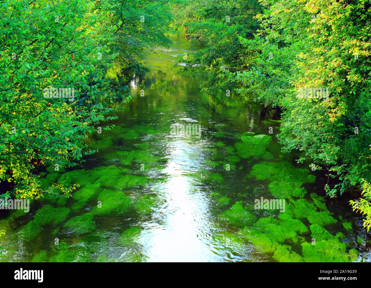 Summer Time in Southern Germany Stock Photo - Alamy