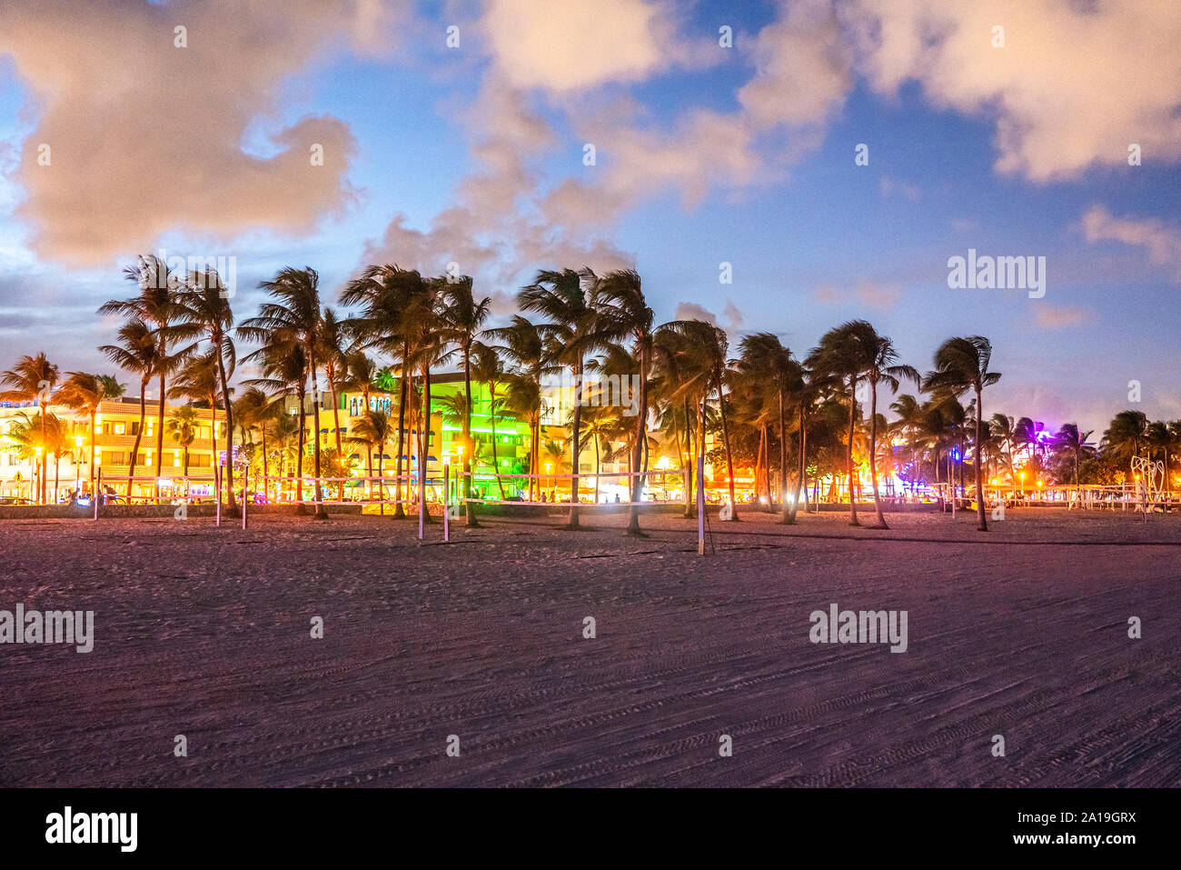 Palm Trees Sunset City