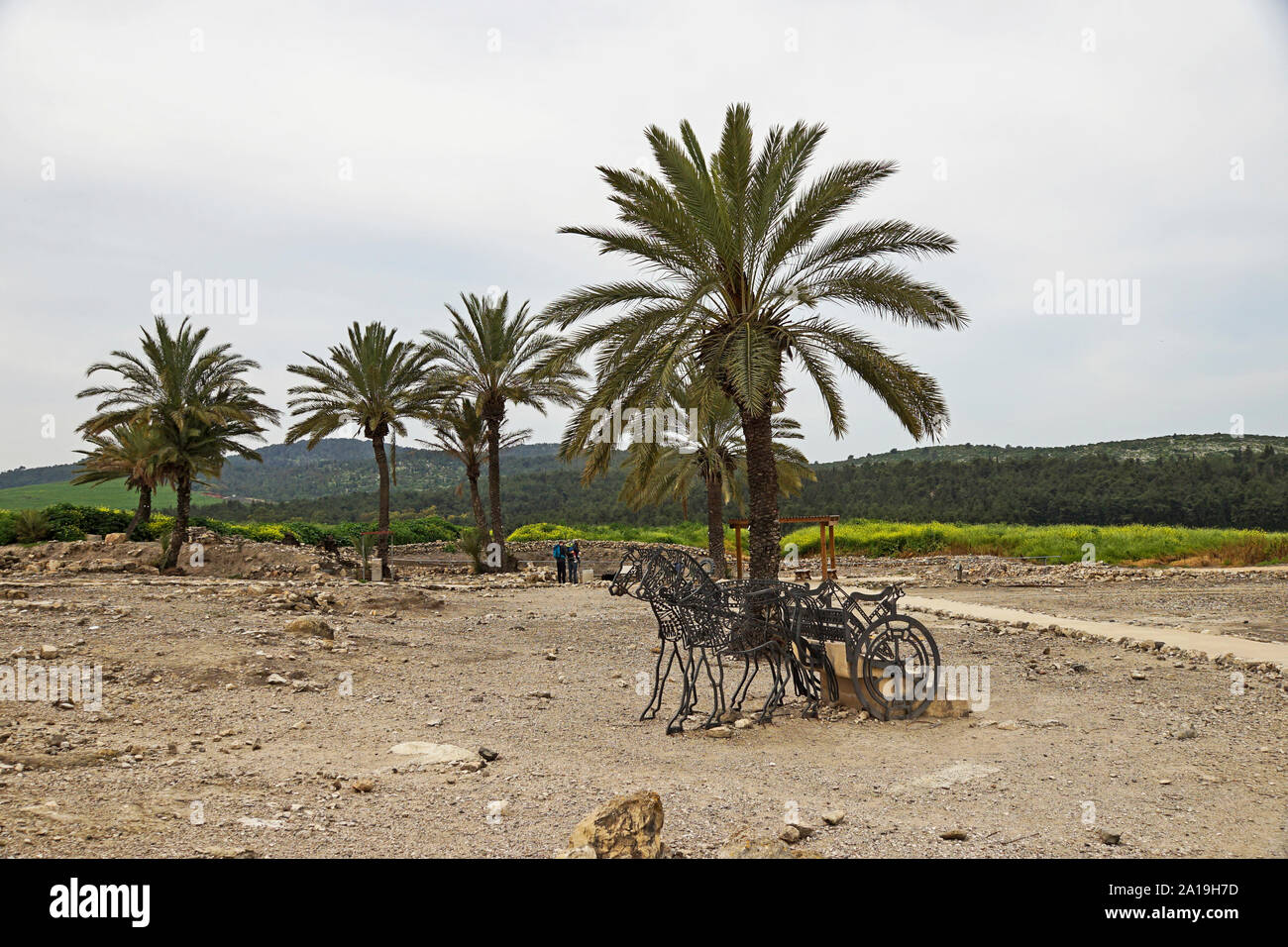 Israel, Jezreel Valley, Tel Megiddo National park. Megiddo is a tel ...