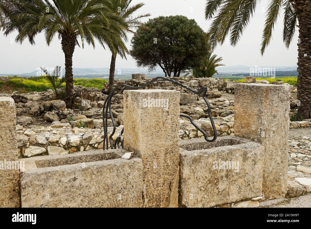Israel, Jezreel Valley, Tel Megiddo National park. Troughs in the ...