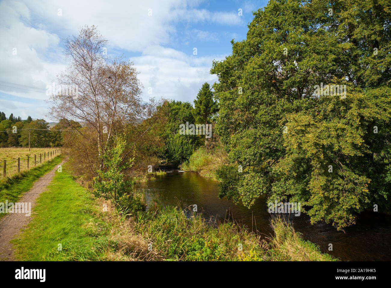 Devon river bridge trees hi-res stock photography and images - Alamy