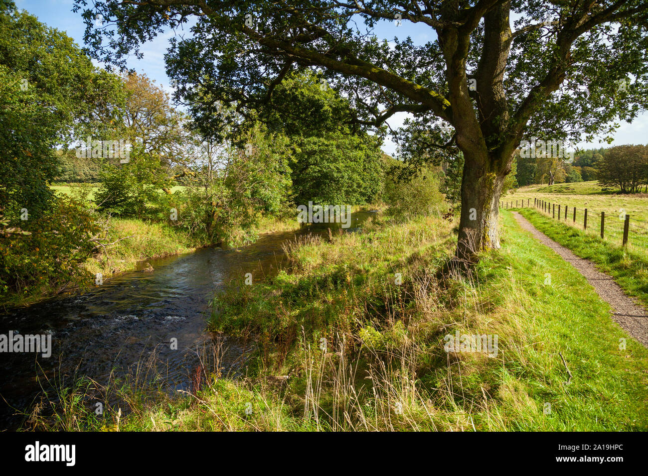 Rumbling bridge devon summer hi-res stock photography and images - Alamy