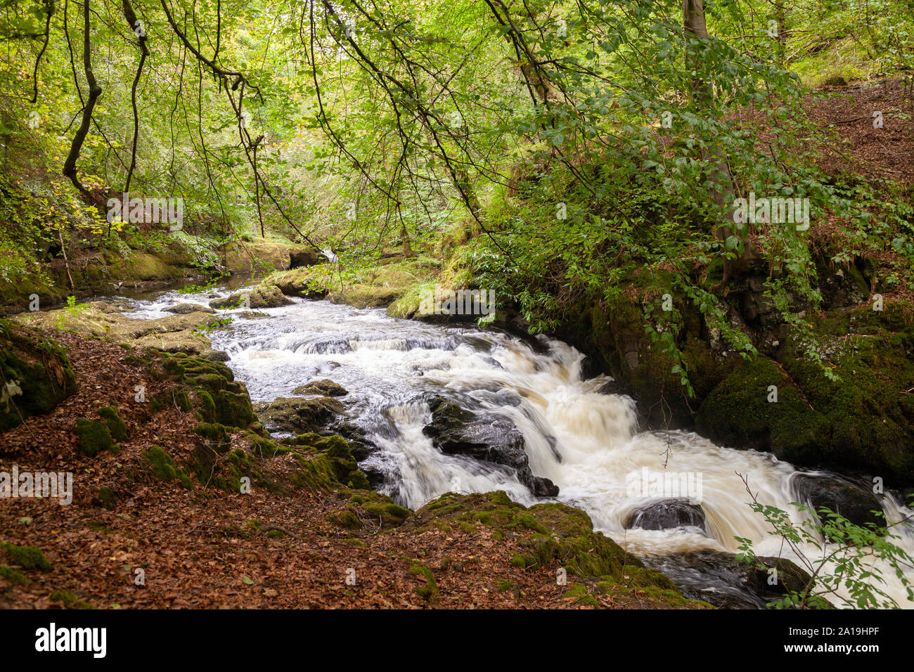 Devon Falls Stock Photos & Devon Falls Stock Images - Alamy