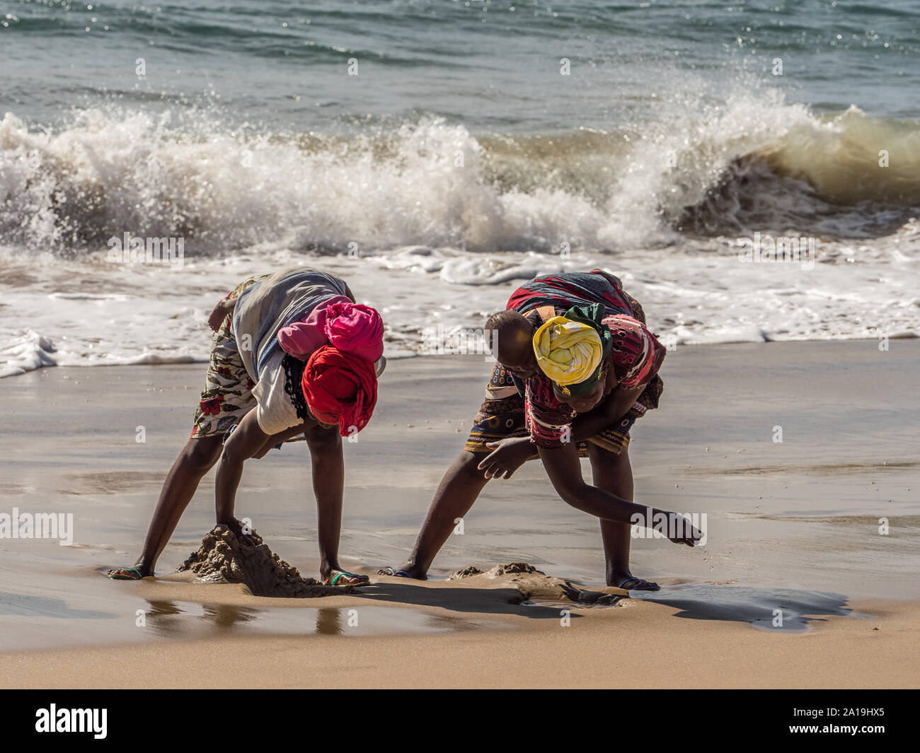 Collecting shells hi-res stock photography and images - Alamy